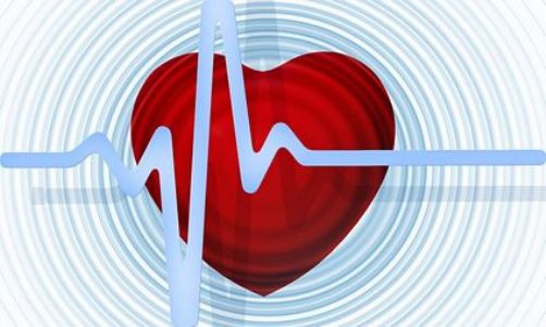 Healthy Heart Guide | Vita Living