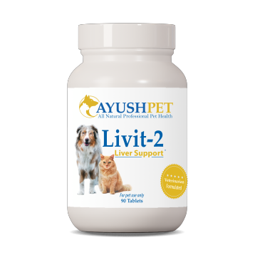 Ayush Herbs Liver Support Livit 2 Vet 90 tabs | VitaLiving